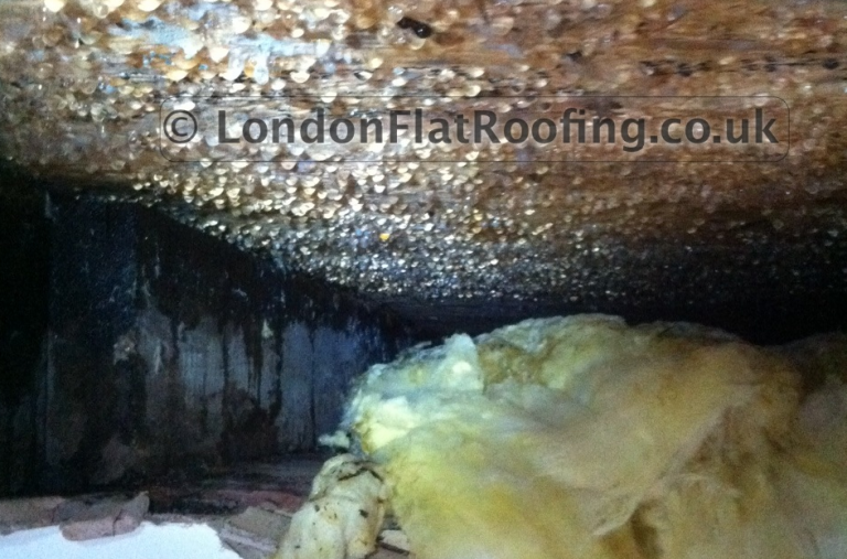 Condensation in a Flat Roof - London Flat Roofing